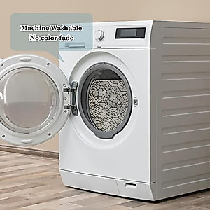 Small Stones Wall, Indoor Door Mat Durable Front Door Mats Entryway Rug Non-Slip Absorbent Area Rugs Resist Dirt Rugs for Room Decor, 24"x16"