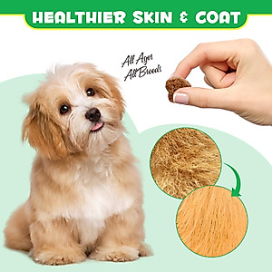 120 Chews Probiotics for Dogs