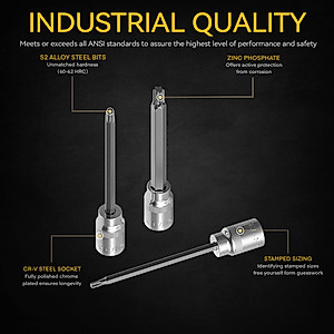 Renekton Torx Star Bit Socket Set,1/2" 3/8" 1/4" Drive, T8 - T70, S2 and Cr-V Steel,13 Pieces