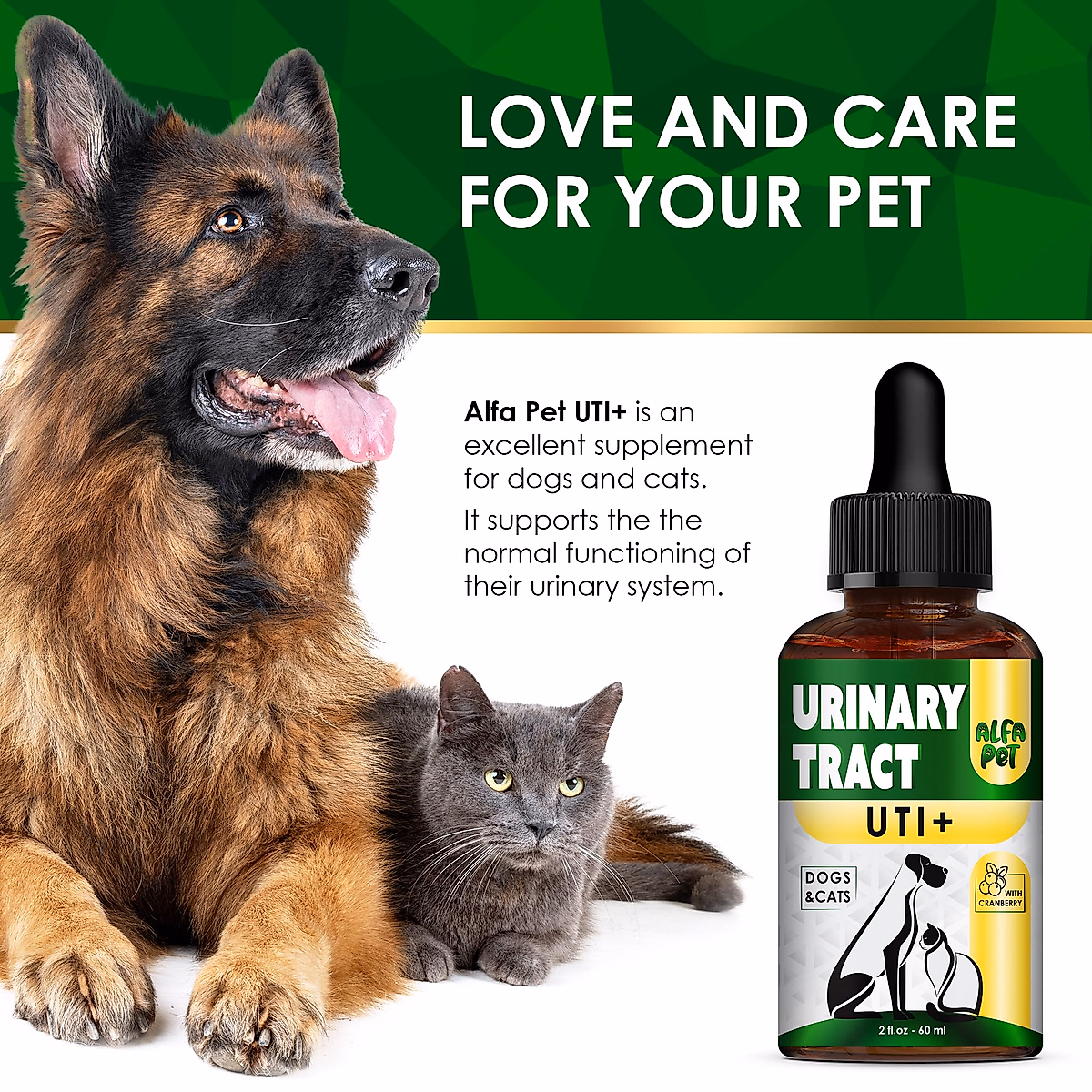 Cat Urinary Tract Infection Treatment • Dog UTI Treatment • Dog & Cat Urinary Supplement • Care for Bladder & Kidney • Herbal Composition • 2 Oz