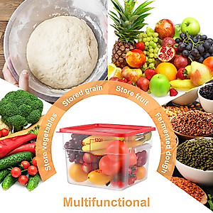 Ziliny 8 Pack Polycarbonate Square with Red Lids 12 Qt Food Storage Containers Commercial Airtight Clear Bucket Brining Food Container