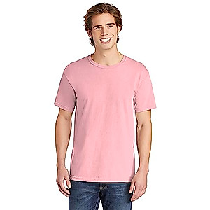 Comfort Colors Men's Adult Short Sleeve Tee, Style 1717 (Large, Light Blossom)