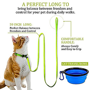 DOYOO 2 Pack Puppy Dog Leash Cat Leash, Strong and Durable Leash with Easy to Use Collar Hook - Dog Leashes for Cat with Collapsible Pet Bowl Great for Small and Medium Dog (Set 3-Black+Green)