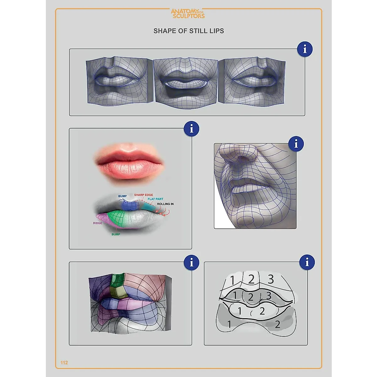 Anatomy For Sculptors, Understanding the Human Figure