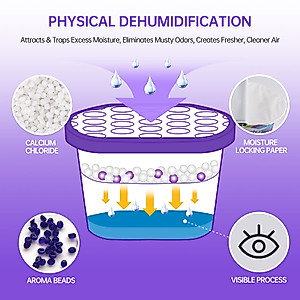 NATRUTH Moisture Absorber 7 HangingPackets（9.8oz*7）+ 3 Portable Boxs (10.5oz*3), Dehumidifiers with Lavender, Desiccant Hanging Bag Use for Kitchen Bathroom Wardrobe, Eliminates Odors, Odor Absorber