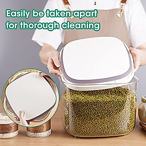 TBMAXS Airtight Rice Container 10 Lbs, Clear Plastic Food Storage Container Bin For Flour Sugar, Dry Food Holder with Easy Locking Lid for Kitchen Pantry Organization and Storage