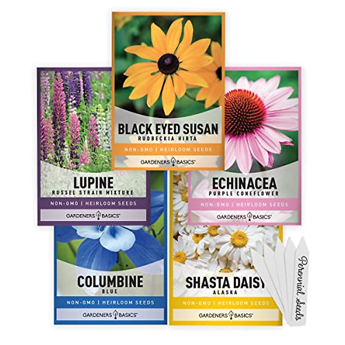 Perennial Flower Seeds for Planting Outdoors (5 Variety Pack) Lupine, Columbine, Echinacea Purple Coneflower, Black Eyed Susan, Shasta Daisy for Pollinators Wildflower Seed by Gardeners Basics