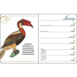 Effin' Birds 12-Month 2023 Monthly/Weekly Planner Calendar