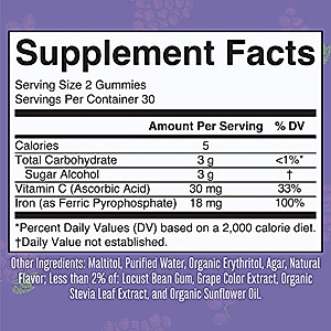 Adult Iron Gummies & Vitamin B12 Spray (Berry) by MaryRuth's | Iron Supplement for Iron Deficiency for Adults | Nerve Function & Energy Boost Supplement