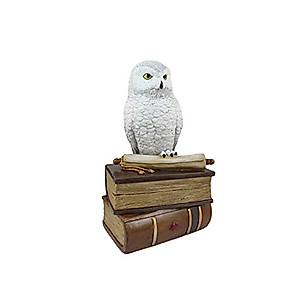 World of Wonders Wizard School White Owl Sculpture Decorative Box with Lid | Knick Nacks for Shelves and Owl Decor | Home Decor for Table Top | Book Lover Gift - 9"