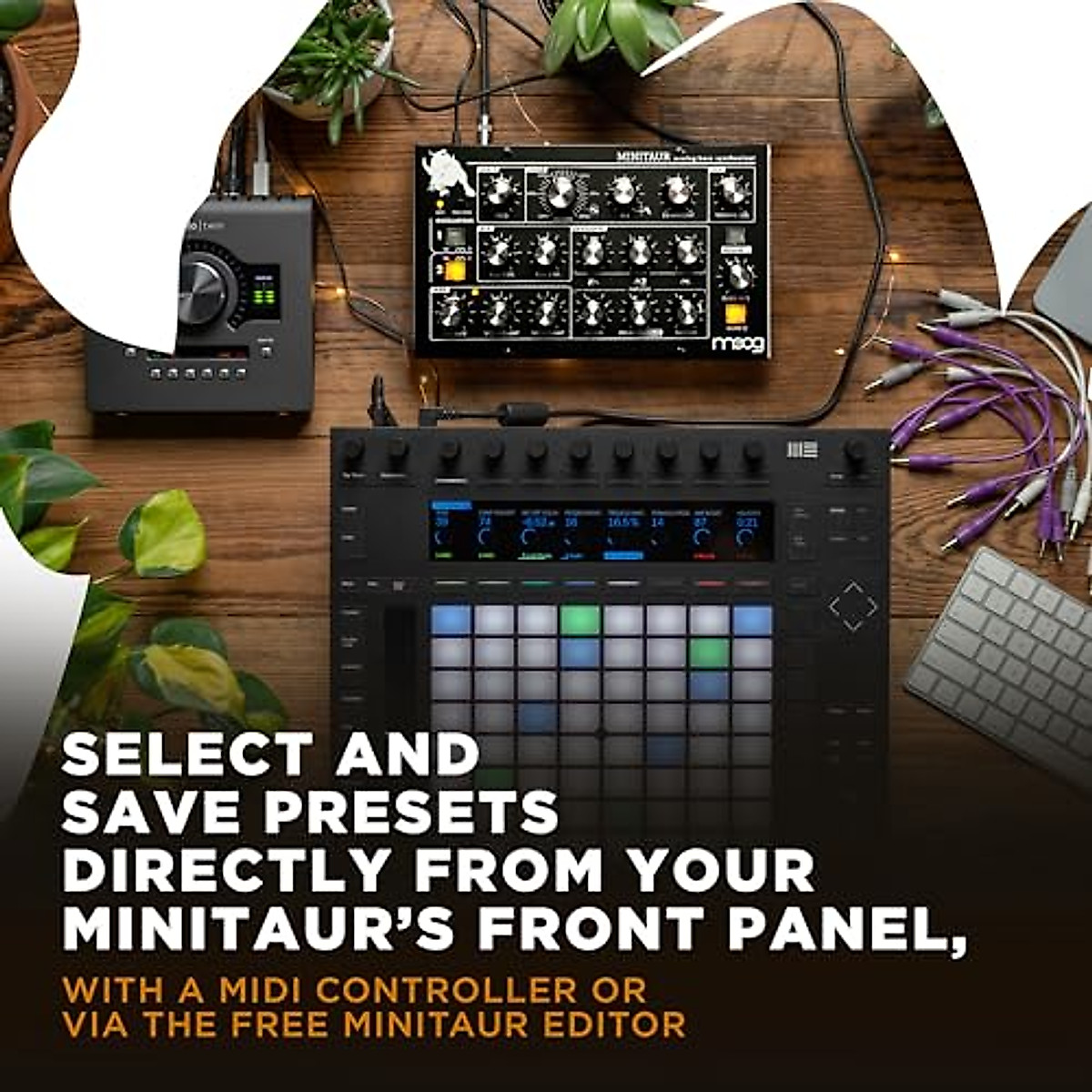 MOOG Minitaur - Analog Bass Synthesizer Module with Headphone Amp, 128 Presets, Software Editor