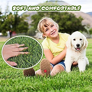 Bethebstyo Artificial Grass, Dog Pee Pads, Professional Dog Potty Training Rug, Large Dog Grass Mat with Drainage Holes, Pet Turf Indoor Outdoor Flooring Fake Grass Doormat - Easy to Clean（51"x 26"）
