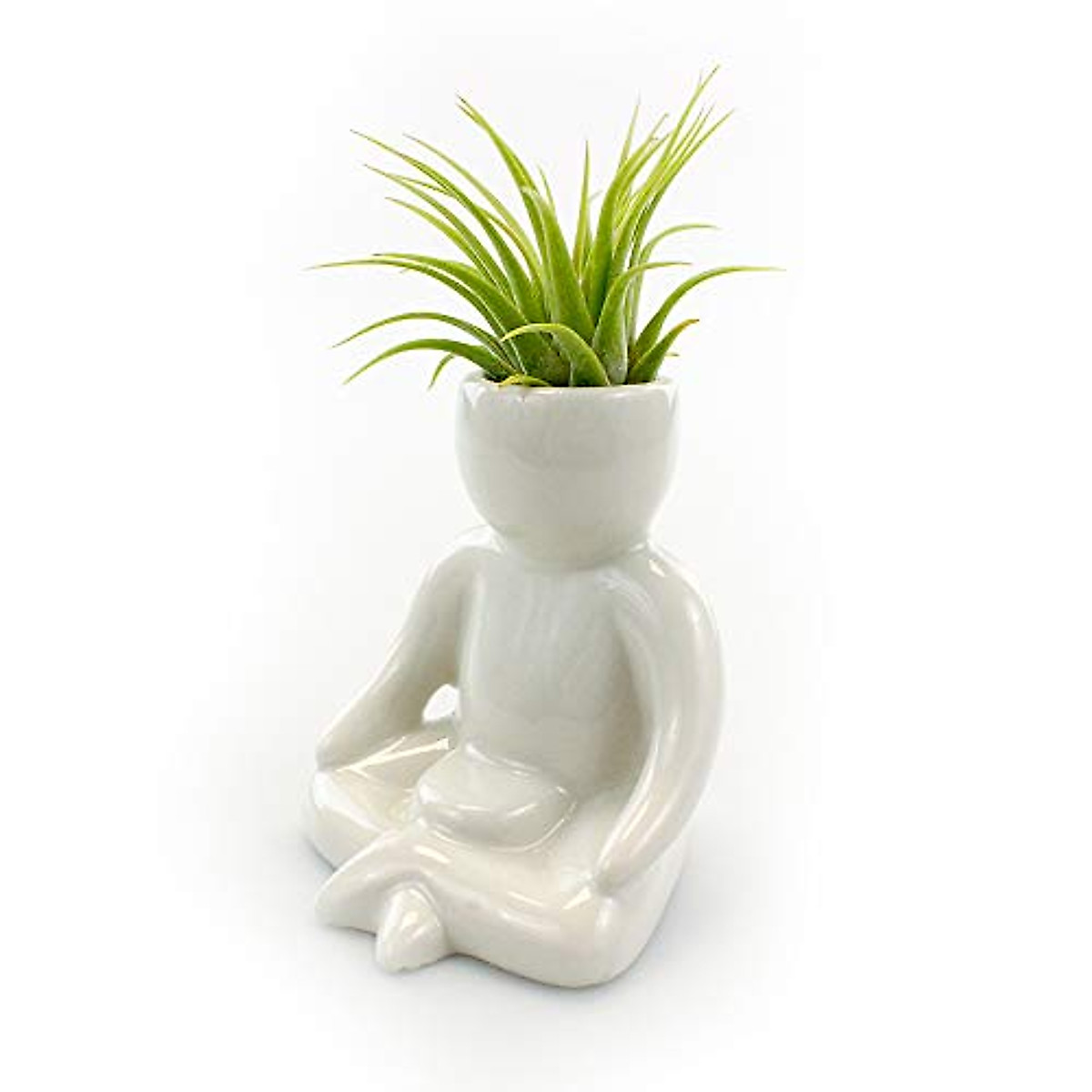 3.25 Inch White Ceramic Meditating Person Shaped Planter with Live Tillandsia Air Plant - Potted Indoor Air Plants for Home and Office Decor