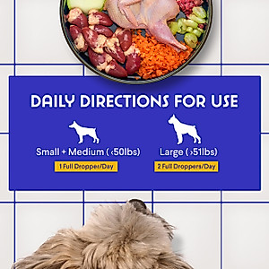 Premium DMG for Dogs – DMG Liquid to Support Immune Health, Skin, Stamina, Muscles, Stress & Performance - Dimethylglycine (DMG) for All Ages, Sizes & Breeds – 4oz