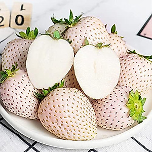 400+ Mix Strawberry Seeds for Planting - Heirloom Non-GMO Red Yellow Blue White Climbing Strawberry - Everbearing Fruit Plant Home Garden Sweet and Delicious