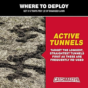 Catchmaster Savage Professional Strength Mole Trap 2-Pack, Plunger Style Mole Killer, Heavy Duty Mole Remover, Solid Metal Outdoor Rodent Trap for Garden, Easy Step to Set Pest Trapper for Home & Yard