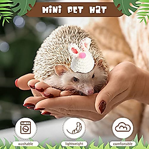 8 Pcs Mini Hamster Hat Hand Knitted Small Animals Hat with Adjustable Strap Frog Bunny Rainbow Carrot Mini Hat Tiny Cute Pet Hat for Small Animals Holiday Party Clothes Costume Accessories Photo Props