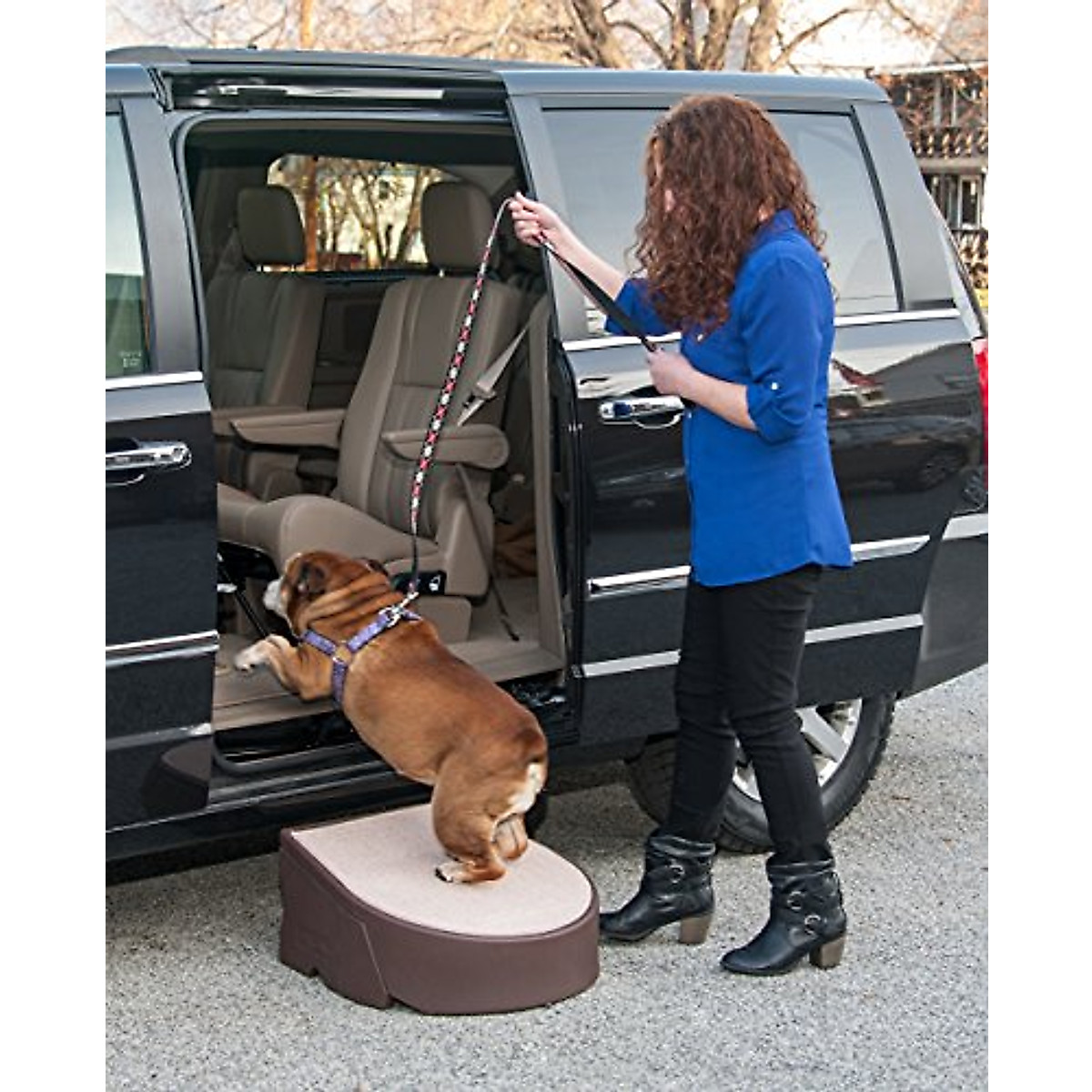 Pet Gear Stramp Stair and Ramp Combination for Dogs/Cats, Easy Step, Lightweight/Portable, Sturdy, Easy Assembly (No Tools Required) 2 Models, 3 Colors