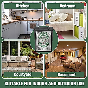 Two Bros. Repellent Pest Control Pouches,Mouse Repellents,Peppermint Pest and Rodent Repellent for Mouse/Rat/Mosquito, Naturally and Strongly Repel Spider,Roach,Bugs,Ant, & Other Pests -10P, Black