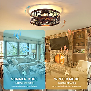 REDSTAR Retro Small Ceiling Fan with Light Remote Control, Ceiling Fans with Lights Flush-Mount, Low-Profile Ceiling Fan with Light, Caged Ceiling Fan with Light (Black)