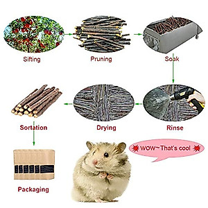 Bojafa 250g Apple Sticks Small Animals Molar Wood Treats Toys for Rabbits Chinchillas Guinea Pig Hamster Gerbil Parrot Bunny and Small Animals Chew Stick Toys Treats (250g, About 50 Pcs)