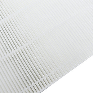 C545 Filter Replacement True HEPA Replacement Filter S Compatible with Winx C545 Replaces Winx S Filter,Two H13 Class True HEPA filters + 8 Activated Carbon Filters