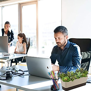 Lainrrew 3 Pack Window Box Planters, 12 Inches Rectangular Planter Plastic Flower Box Plant Pots Plant Containers with Tray for Balcony, Windowsill, Garden, Home Office Outdoor Decoration (Coffee)