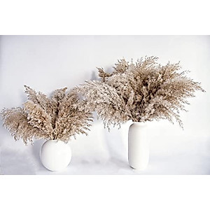 Pampas Grass Decor, Natural Dry Pampas Grass Small, Short Pampass Bulk for Farmhouse, Wall, Kitchen, Bedroom Decor, Office Decor (17 inch )
