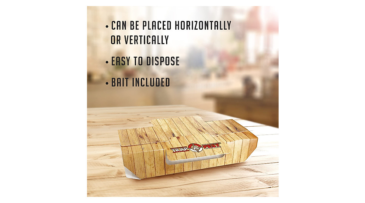 Indoor Sticky Roach Traps - Safe and Non-Toxic