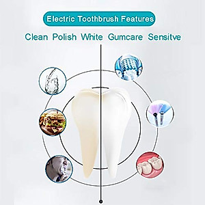 ＲＥＤ－ＮＩ RED-NI Sonic Electric Toothbrush, 4 Free Replacement Heads Included as Gifts Ideal for Adult Children and Couples Use USB Fast Charging Waterproof Toothbrush,Model: ET201 (Blue)