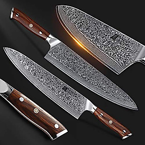 XINZUO 10 Inch Damascus Chef Knife Kitchen Knife Sharp Gyuto Knife Stainless Steel Fashion Professional Chef's Knife with Rosewood Handle