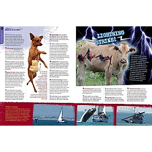 Ripley's Believe It Or Not! Strikingly True (8) (ANNUAL)