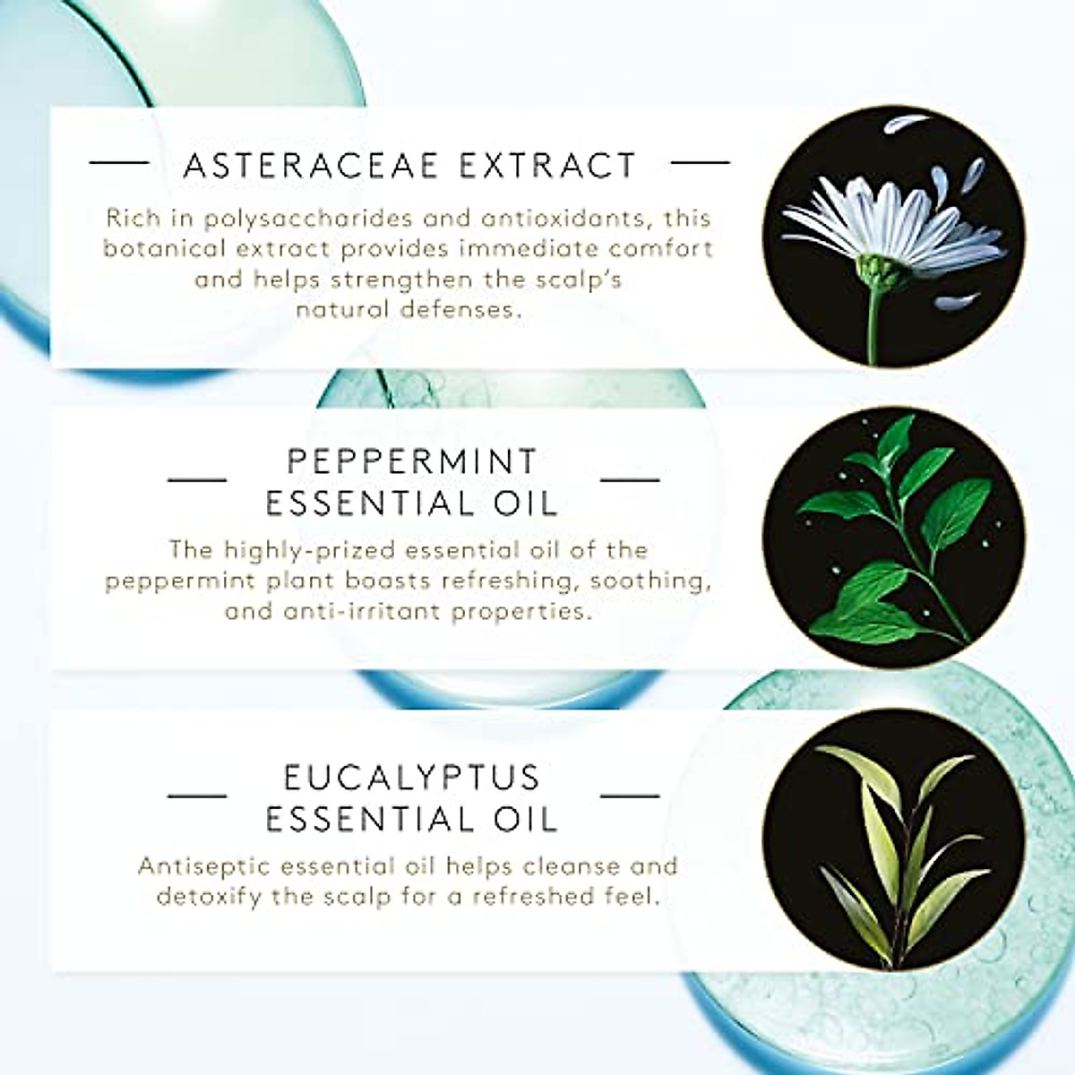 Rene Furterer Head Spa ASTERA Soothing Concentrate, Pre-Shampoo Soothing Scalp Treatment, - Soothe Sensitive Scalps - Mint & Eucalyptus - Paraben & Silicone-Free - 1.6 oz.