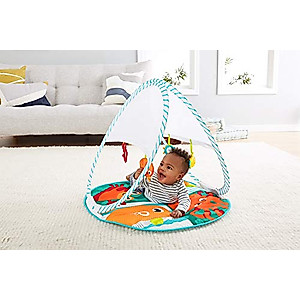 Fisher-Price Fold & Go Portable Gym