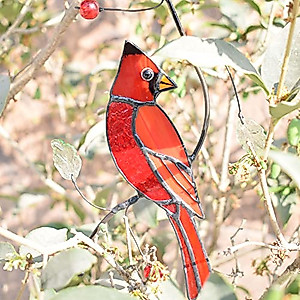Lolitarcrafts Bigger Cardinal Stained Glass Window Hangings Cute Birds Suncathers for Window Monthers Day Gifts