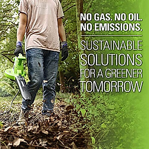 Greenworks 12 Amp 2-Speed (230 MPH / 375 CFM) Blower / Vacuum