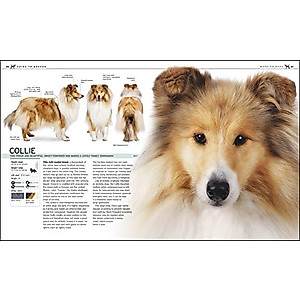 The Complete Dog Breed Book, New Edition (DK Definitive Pet Breed Guides)