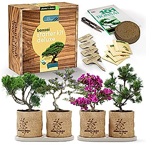 Bonsai Starter Kit - DIY Bonsai Growing Gift - Garden Hobbies for Adults, Women & Men : 4 Unique Tree Seeds, Soil, Pots, Pruning Shears, Plant Markers + Wood Gift Box