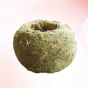 Generic 5pcs Moss Ball Planter Japanese Style Natural Kokedama Flower Vase Flower Pot Creative Sphagnum Flower Holder Potted Hydrating Bonsai Plants Containers for Home Wedding Decor