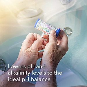 Leisure Time 22338A Balancer for Spas and Hot Tubs, 1-Pack