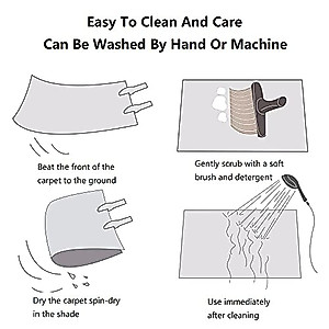 wxnzsl Area Rug for Bedroom 2x3 Fluffy Rugs, Small Plush Furry Shaggy Rugs, Indoor Soft Fuzzy Shag Rugs for Living Room Girls/Boys Room- Dark Gray