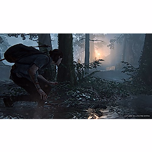 The Last of Us Part II - PlayStation 4 (Renewed)