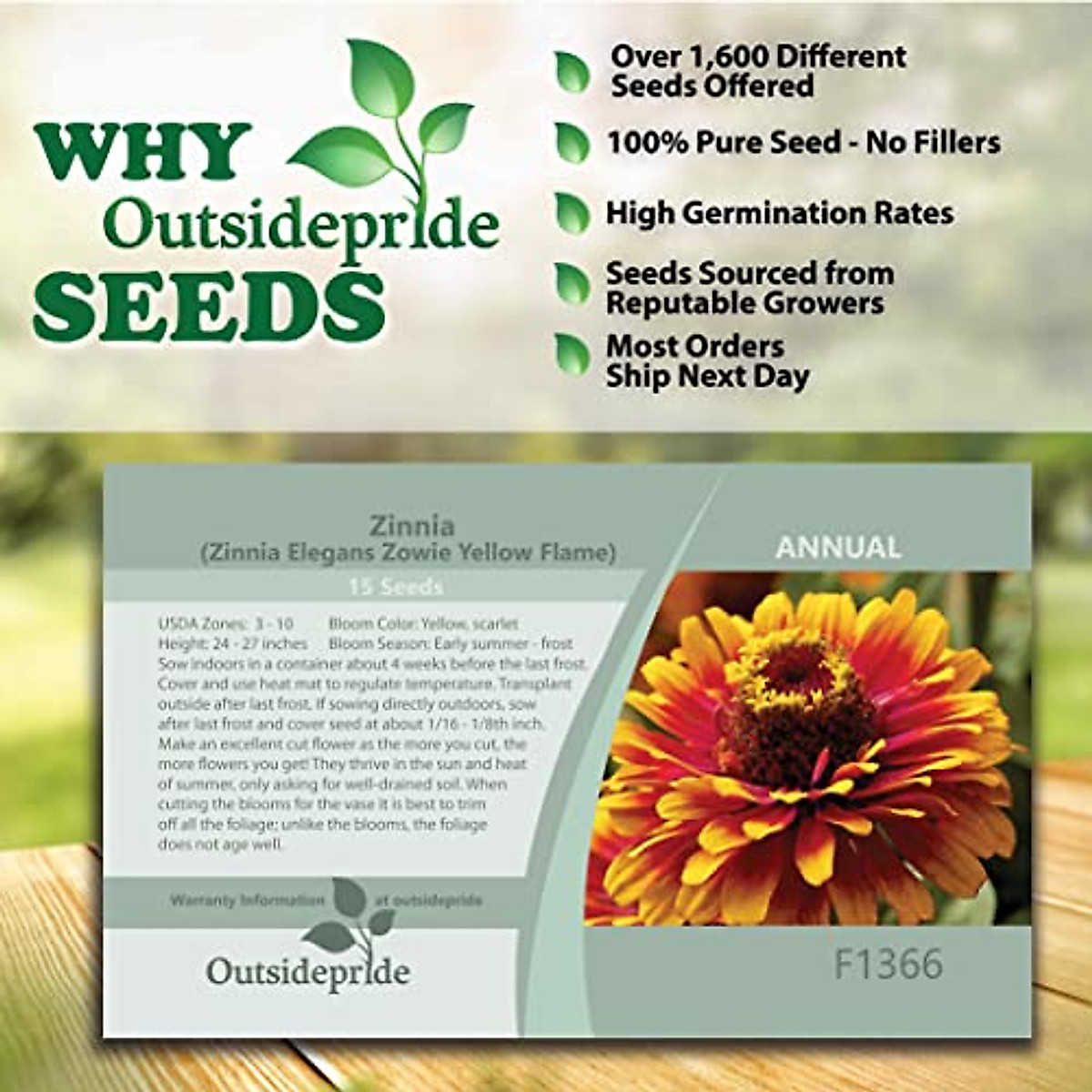 Outsidepride Zinnia Zowie Yellow Flame Heat & Drought Tolerant Garden Cut Flowers - 30 Seeds