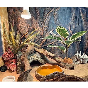 Woyrise Reptile Plants for Terrarium Decor, Amphibian Habitat Artificial Plant, Bearded Dragon Tank Accessories fit Gecko Lizard Chameleon Ball Python Snake Frog - Ficus Microcarpa
