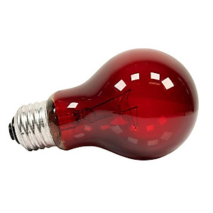 Zoo Med Nightlight Red Reptile Bulb, 100 Watts
