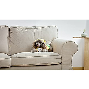 Filhome Pet Bee Dog Costume, Halloween Dog Hoodies Outfits Cute Cat Hooded Coat Warm Apparel Fall Winter Christmas Cosplay Clothes for Small Medium Pet(M/Multicolor)