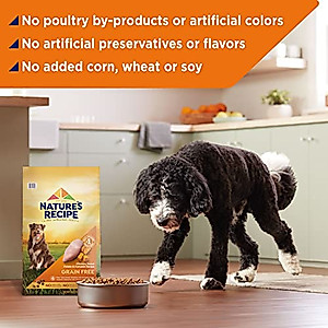 Nature’s Recipe Adult Dry Dog Food, Chicken & Rice Recipe, 4 Pound Bag