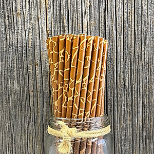 Giraffe Print Paper Straws - Animal Print Straws - Safari Theme - 50 Pack Outside the Box Papers Brand