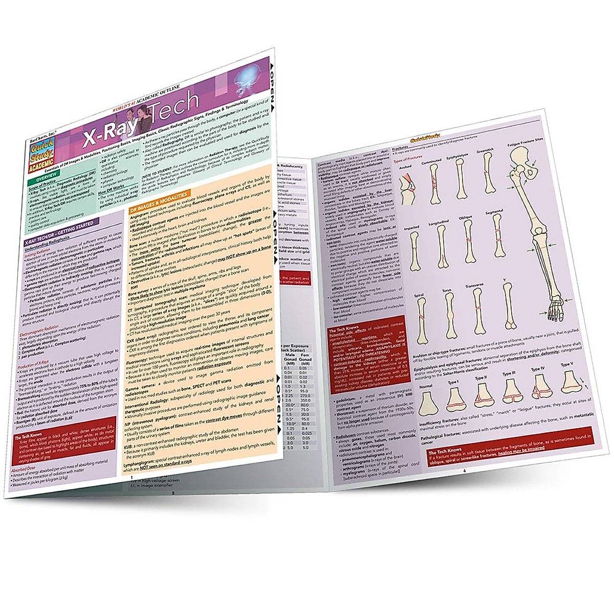 X-Ray Tech QuickStudy Laminated Reference Guide (QuickStudy Academic)