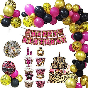 Cheetah Birthday Decorations Set - Pink Leopard Print Party Decorations Cheetah Happy Birthday Banner Balloon Garland Cake Toppers Stickers for Girls Pink Cheetah Party Supplies,Safari Animal Party